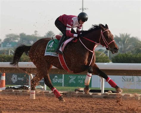 【サウジc】枠番決定 フォーエバーヤングは大外14番 ウシュバテソーロは最内1番 スポニチ Sponichi Annex ギャンブル