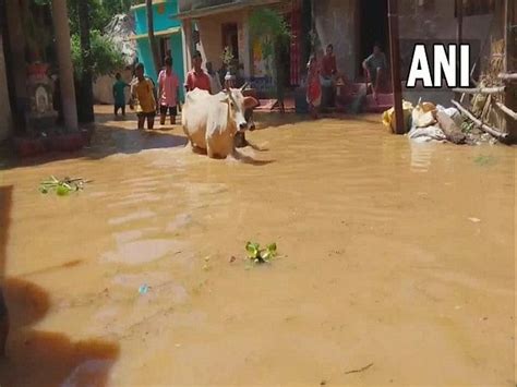 Over 467 Lakh People Affected Due To Floods In Odisha Theprint Anifeed