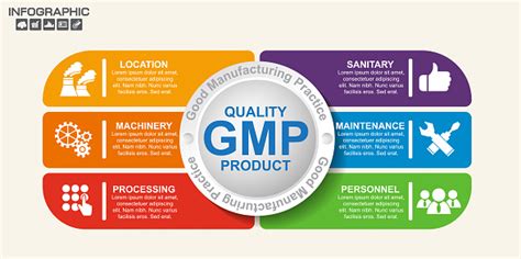 Gmp좋은 제조 관행 샘플 텍스트와 인포 그래픽 템플릿의 6 제목 0명에 대한 스톡 벡터 아트 및 기타 이미지 0명 개념 권위 Istock
