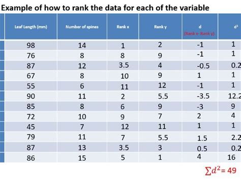 Spearmans Rank Correlation Coefficient Holly Leaves Teaching Resources