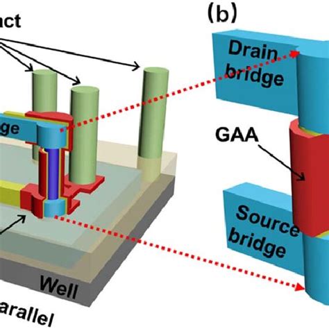 Schematic Of Vertical Sandwich Gate All Around Tunneling Fets Download Scientific Diagram