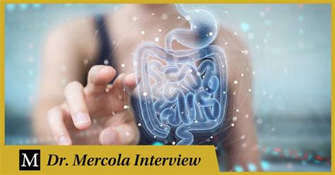 Vincent Pedre Unlocking The Secrets Of Gut Health