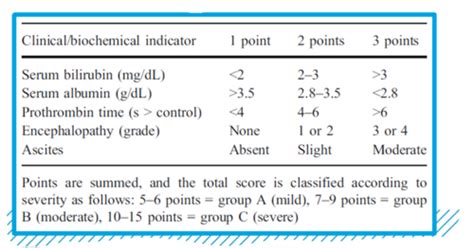 Exam 2 Pharmacokinetics Flashcards Quizlet