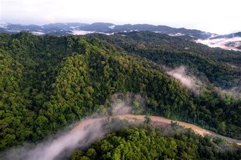 Solomon Islands Celebrates World Environment Day 2024 Environment Media