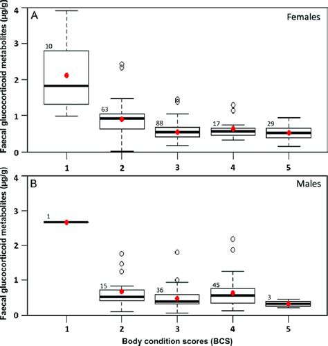 Association Between Bcs Of Elephants And Their Fgcms Levels Box Plots Download Scientific