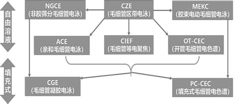 想get更多免疫检测技术？毛细管电泳了解一下 知乎