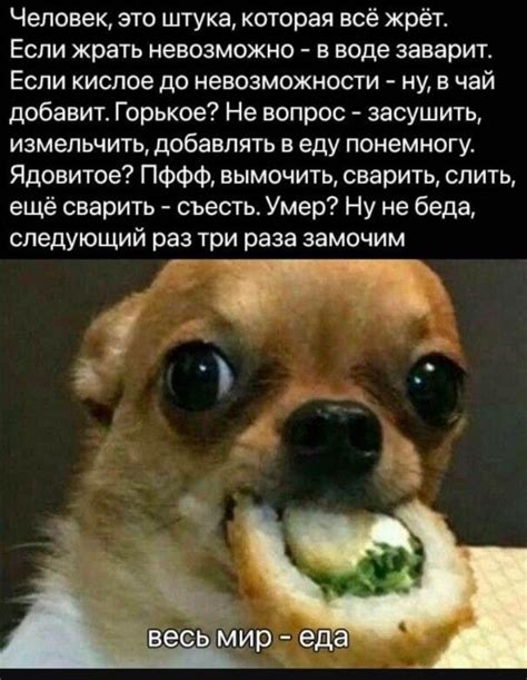 Pin Op влучні слова