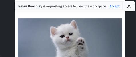 Is There An Api Available To Invite Users Or Guest To A Workspace Also