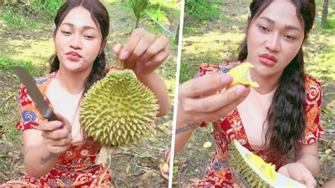 ဒူးရင်းသီး ခြံထဲမှာ ဒူးရင်းသီး အဝဆွဲကြမယ်ဝေ့ Youtube