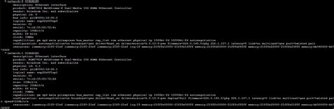 Broadcom BCM 57416 NetXtreme E Lshw ServeTheHome