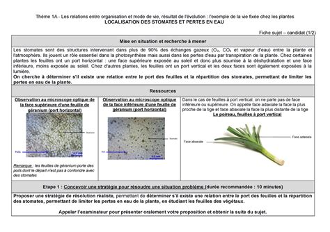 SVT ECE 13 V2 Travaux pratique d SVT pour s entraîner aux épreuves