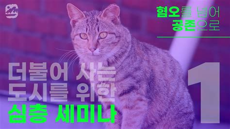 더불어 사는 도시를 위한 심층 세미나 Youtube