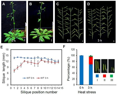 Tissue Specific Transcriptomics Shows The Unfolded Protein Responses Role In Maintaining