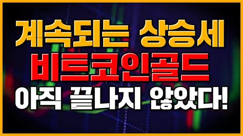 계속되는 상승세 비트코인골드btg 아직 끝나지 않았다 코인겟 코인분석 Youtube
