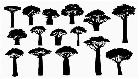 Premium Vector African Savannah Flora Baobab Trees Silhouettes