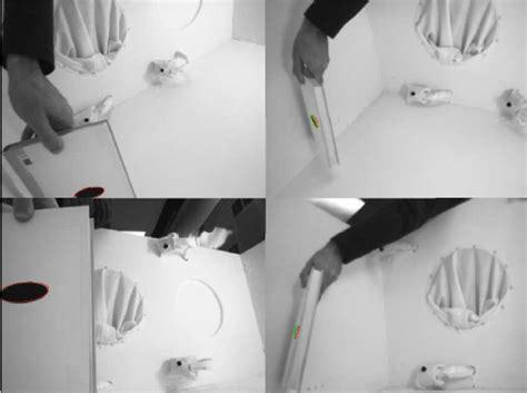 An Example Frame Where Occlusion Prevents From Using The Two Views With