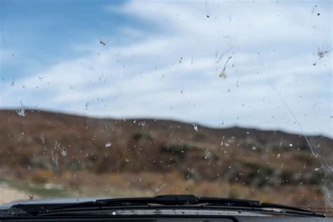 Keep Your Rv Clean And Bug Free This Summer