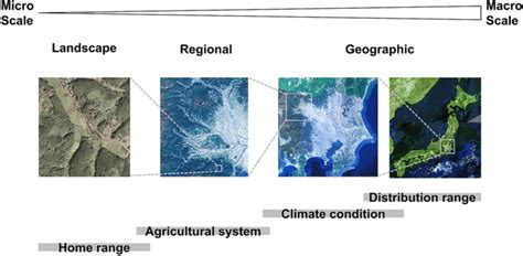 Multi Scale Hierarchical Structure Of Agricultural Landscapes The