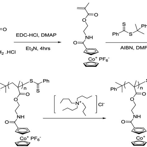 2 Synthesis Of Cobaltocenium Containing Polymers By Raft Polymerization Download Scientific