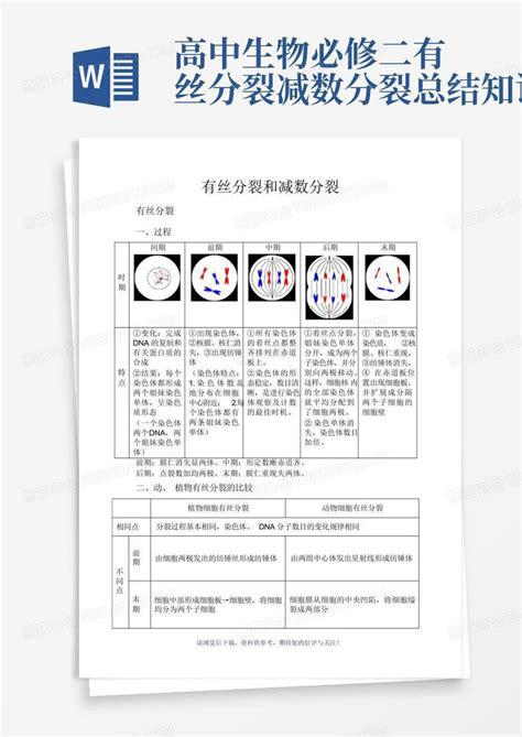 高中生物必修二有丝分裂 减数分裂总结知识点word模板下载编号qwyjgwny熊猫办公
