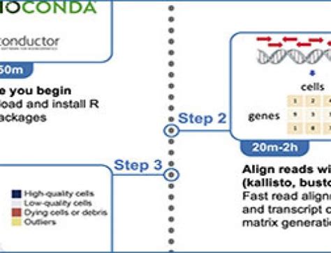 An RNA Seq QC Overview RNA Seq Blog