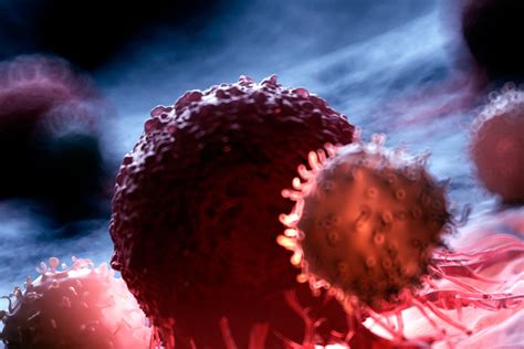 Syngeneic Tumor Mouse Models Drug Efficacy Testing Innoser