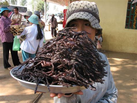 Los 50 Alimentos Más Extraños Del Mundo Hostelworld Travel Blog