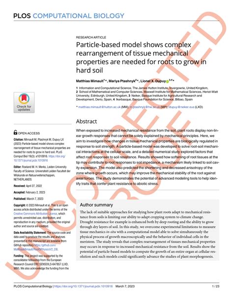 Pdf Particle Based Model Shows Complex Rearrangement Of Tissue