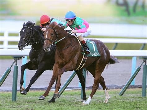 侑「セントライト記念はソールオリエンスが親子制覇だよ！！」競馬同好会🐴 カーバイク早分かり速報