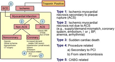 Nstemi Type 1 Vs 2 Medcoo