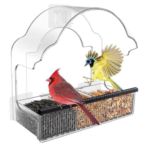 VOLIERE CAGE OISEAU Mangeoire à oiseaux acrylique transparente