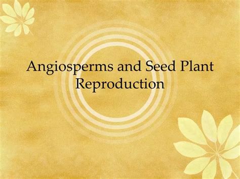 Ppt Angiosperms And Seed Plant Reproduction Powerpoint Presentation