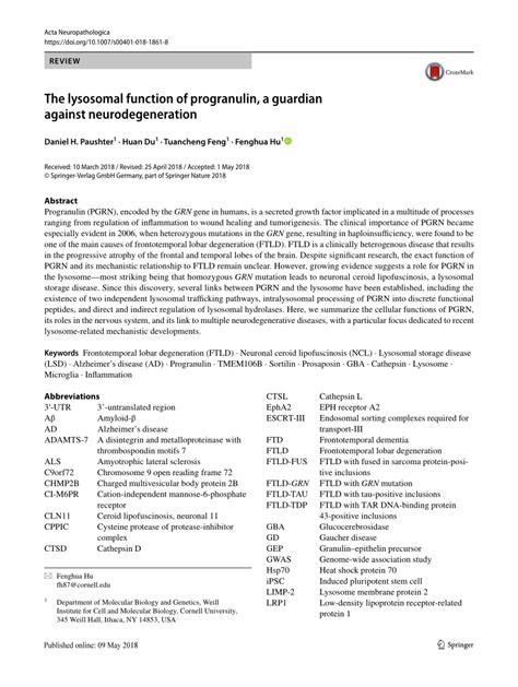 Pdf The Lysosomal Function Of Progranulin A Guardian Against