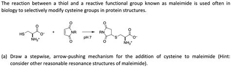 The Reaction Between A Thiol And A Reactive Functional Group Known As Maleimide Is Used Often In