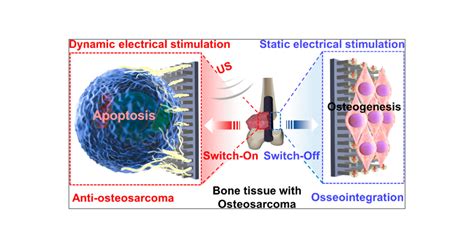 One Dimensional Ferroelectric Nanoarrays With Wireless Switchable Static And Dynamic Electrical