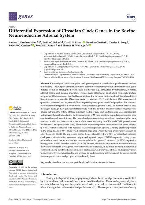 Pdf Differential Expression Of Circadian Clock Genes In The Bovine Neuroendocrine Adrenal System