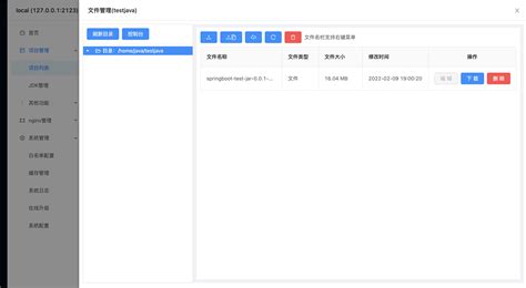 自定义管理 java 项目 Jpom项目运维