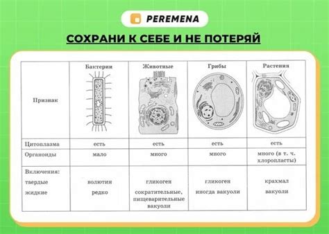 Егэ биология ботаника задания
