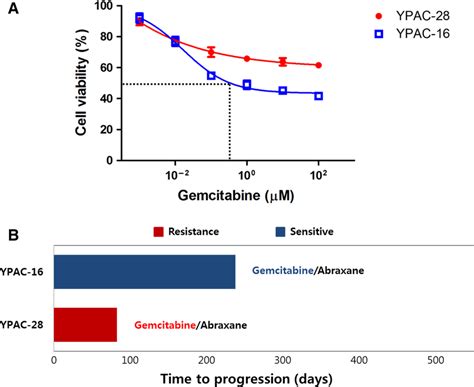 Patient‐derived Conditionally Reprogrammed Cell Lines Reveal