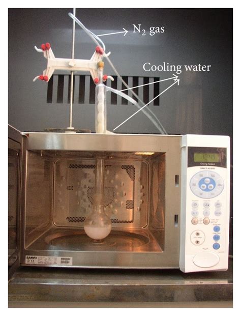 Image Of Microwave Irradiation System Download Scientific Diagram