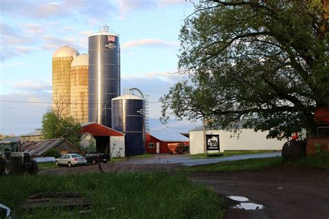 Dairy Farms Artofit