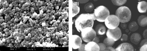Scanning Electron Micrographs Of Packed A And Particulate Single B