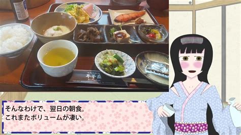 よかいちこの酒と歴史トーク 10 ～萃夢荘と長篠の戦い巡り～ ニコニコ動画
