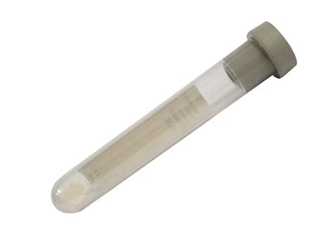 Labcorp Urine Culture Tubes At William Everhart Blog