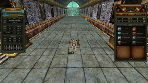 Knight Online Dryads 80 Lvl Full Skill Priest