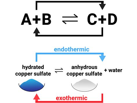 Reversible Reactions And Dynamic Equilibrium Aqa C6 Revisechemistry Uk