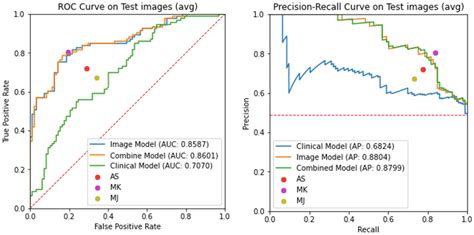 Performance Metrics Of The Malignancy Prediction Models Including