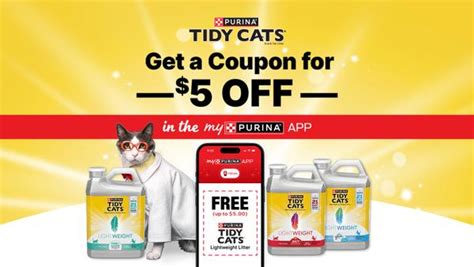 Cat Worms Symptoms And Deworming Treatment Purina Us
