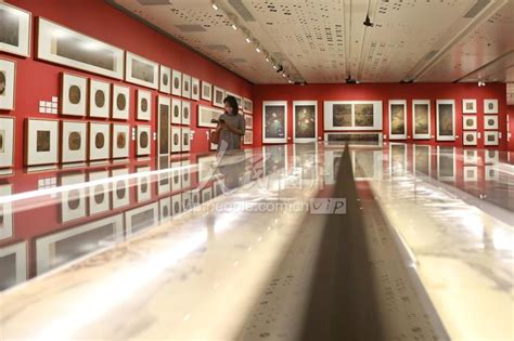 浙江盛世修典中国历代绘画大系嘉兴特展开幕 人民图片网