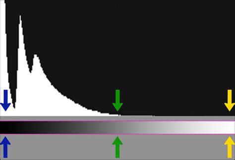 Checking The Histogram To Capture A Perfect Exposure Seriously